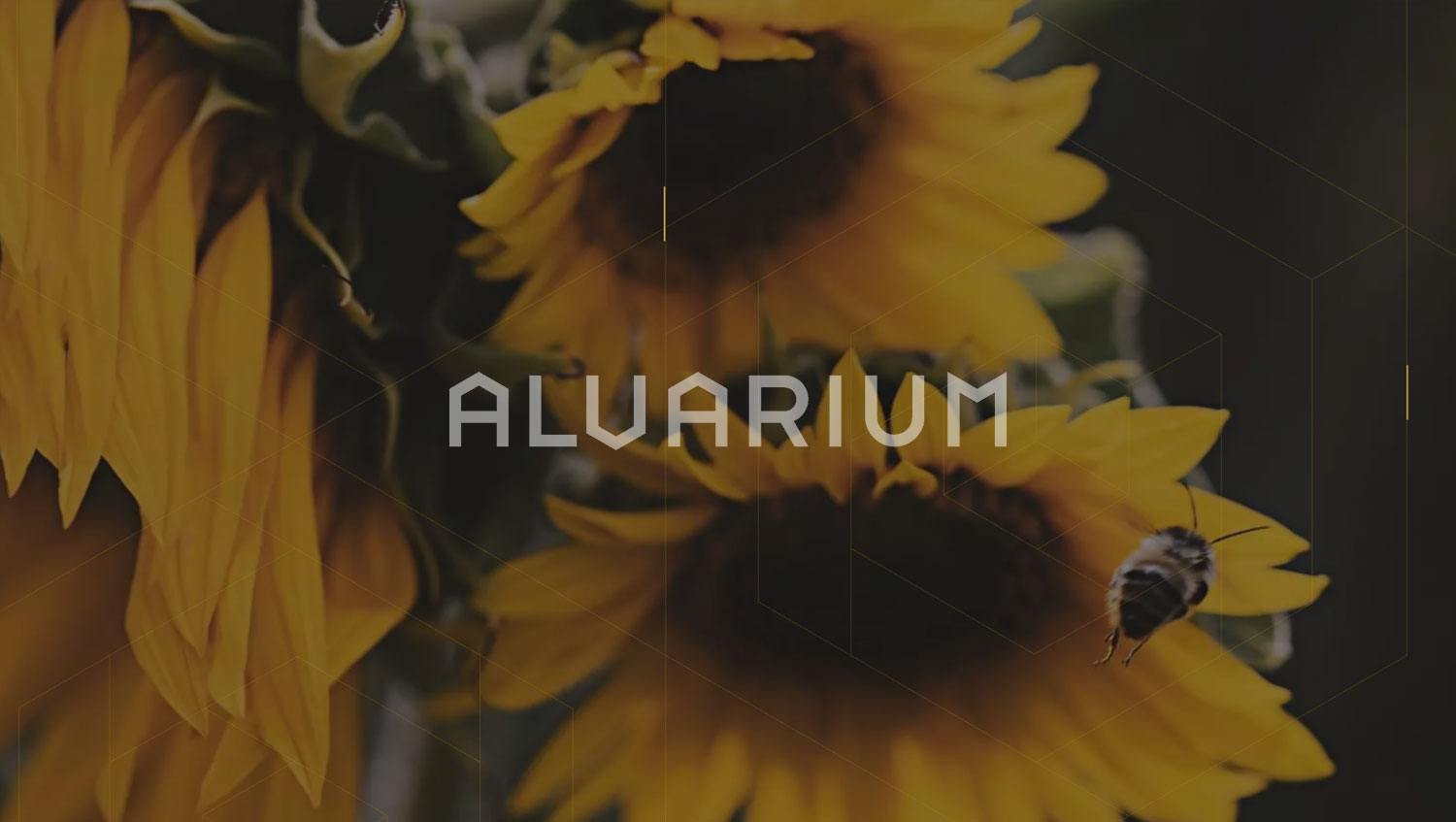 Alvarium | SEO Case Study | CB Digital